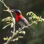 From Ha Noi Cuc Phuong National Park - What Travelers Should Know Before Booking