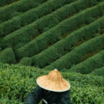 From Hangzhou: Longwu Tea Village, Longmen Town & Dam Tour - Walking Through Longmen Ancient Town