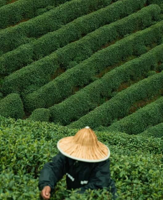 From Hangzhou: Longwu Tea Village, Longmen Town & Dam Tour - Walking Through Longmen Ancient Town