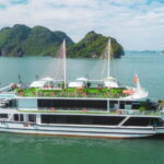 From Hanoi: 1-Day Halong 5-Star Cruise w/Jacuzzi & Buffet Lunch - Authentic Traveler Insights and Authentic Experiences