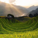 From Hanoi: 1-day Sapa Trekking Tour With Overnight Bus - The Itinerary Breakdown: What to Expect