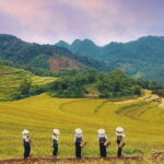From Hanoi: 2-Day Mai Chau & Puluong Adventure - Why the Value of This Tour Stands Out