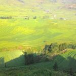 From Hanoi: 2 Day Sapa Trekking To Village & Bungalow, Meals - What Makes This Tour Stand Out