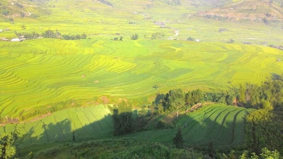 From Hanoi: 2 Day Sapa Trekking To Village & Bungalow, Meals - What Makes This Tour Stand Out