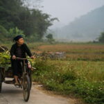 From Hanoi: 5-Day Ha Giang, Cao Bang, Ban Gioc Waterfall - The Experience: What Makes This Tour Stand Out