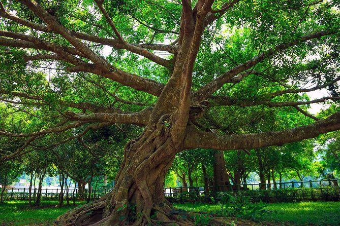 From Hanoi: Cuc Phuong National Park Day Trip by Private Car - Who Will Love This Tour?