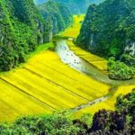 From Hanoi : Hoa Lu - Trang An and Mua Cave Full-Day Trip - Visiting Hoa Lu: Vietnam’s Ancient Capital