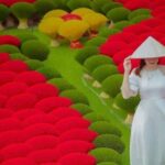 From Hanoi: Incense Village 1 Day Trip - An Overview of the Experience