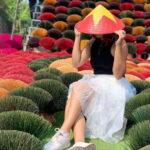 From Hanoi: Incense Village, Conical Hat and HaThai Art Tour - Who Will Love This Tour?