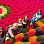 From Hanoi: Incense Village, Hat-Making & Lacquer Art Tour - Starting Point: Hanoi’s Old Quarter