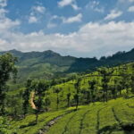 From Hanoi: Moc Chau 3-Day Guided Tour - What’s Included and What to Keep in Mind