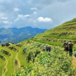 From Hanoi: Private 2-Day Mu Cang Chai Homestay & Trekking - Who Should Consider This Tour?