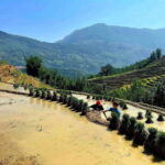 From Hanoi/Sapa: Highlights 2-Day Trekking Tour - The Experience of Staying Overnight