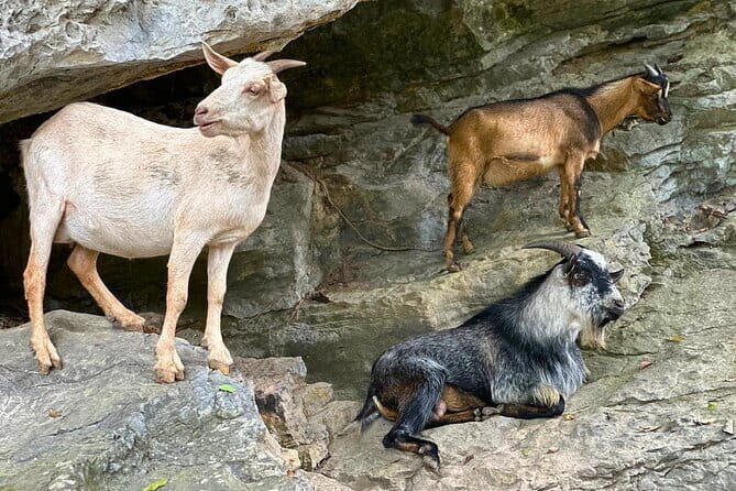 From Hanoi to Ninh Binh Daily Tour with Lunch, Biking, Boat Trip - Possible Drawbacks or Considerations