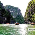 From Hanoi: Visit Cat Ba Islands By A Good Cruise In 1 Day - What Travelers Can Expect at Each Stop
