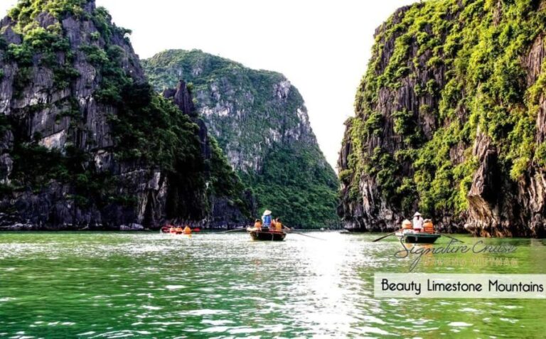 From Hanoi: Visit Cat Ba Islands By A Good Cruise In 1 Day - What Travelers Can Expect at Each Stop