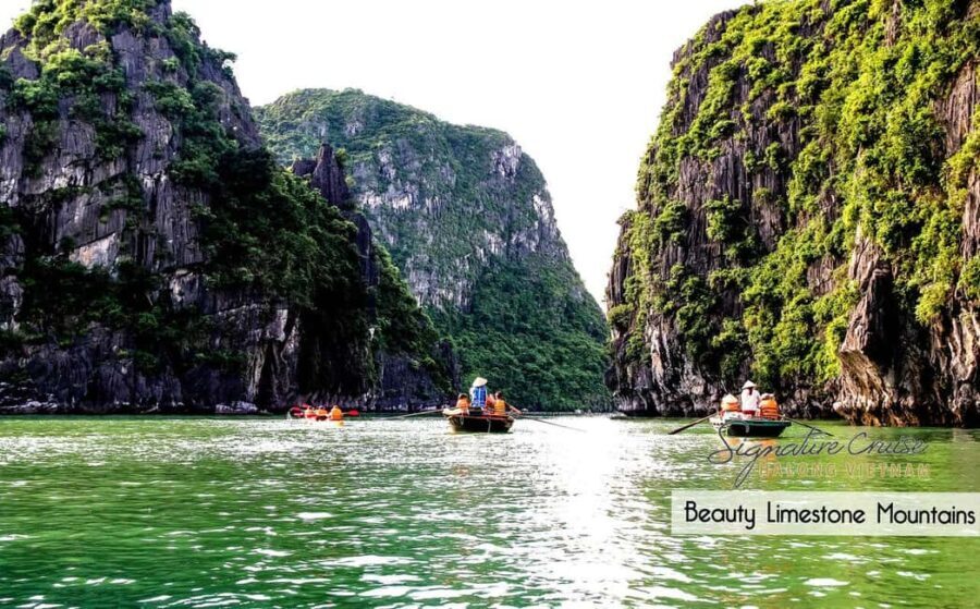 From Hanoi: Visit Cat Ba Islands By A Good Cruise In 1 Day - What Travelers Can Expect at Each Stop