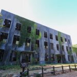 From Hiroshima: Rabbit Island and Takehara Town Tour - What You Can Expect on the Tour