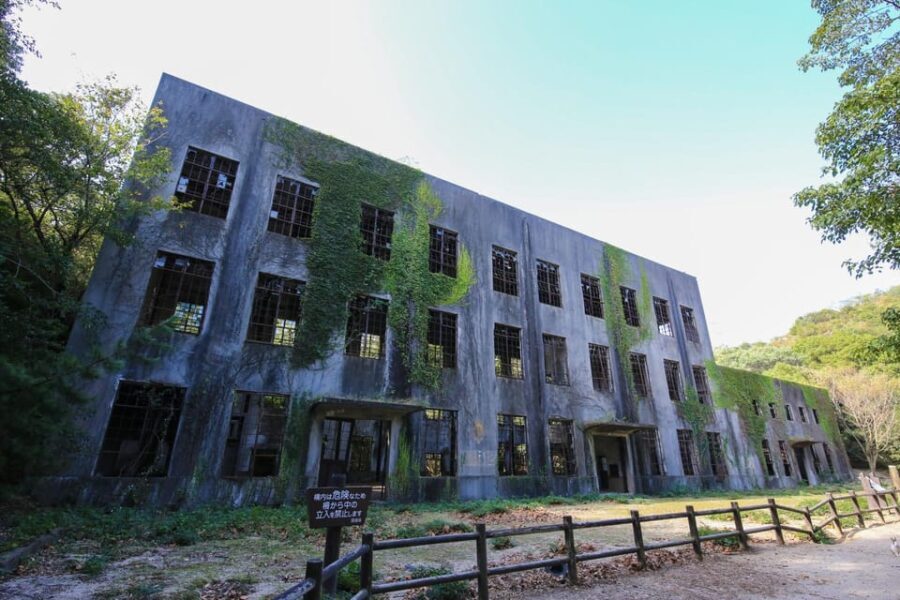 From Hiroshima: Rabbit Island and Takehara Town Tour - What You Can Expect on the Tour