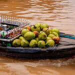 From Ho Chi Minh: Cai Rang Floating Market & Cooking Class - The Journey Begins: What to Expect