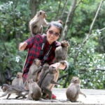 From Ho Chi Minh: Can Gio Monkey Island & Mangrove Tour - The Day in Detail: What to Expect and What It Means for You