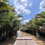 From Ho Chi Minh City: Mekong Delta 3-Day - Group Tour - Who Should Consider This Tour?
