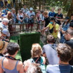 From Ho Chi Minh: Cu Chi Tunnels Group Tour - What Makes This Tour Stand Out