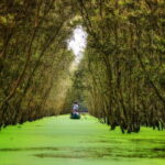 From Ho Chi Minh: Mekong Delta 3-day w Tra Su Forest - How Well Does the Tour Deliver?