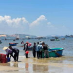 From Ho Chi Minh: Mui Ne and Phan Thiet Day Trip - Journey Through the Dunes and Villages: What You Can Expect