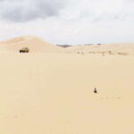 From Ho Chi Minh: Mui Ne Sand Dunes and Beach Day Tour - The Experience: What Travelers Say