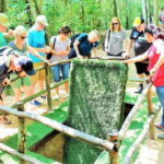 From Ho Chi Minh:Cu Chi Tunnels Morning or Afternoon w Lunch - How the Tour Is Structured