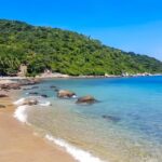 From Hoi An/ Da Nang: Swimming & Snorkeling In Cham Islands - Who Should Consider This Tour?