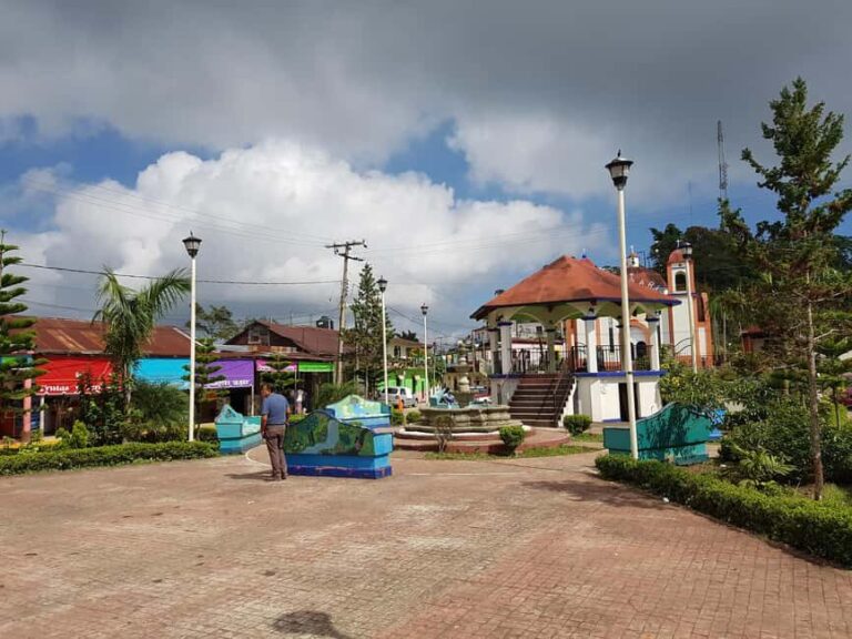 From Huatulco: 3 Levels, Coffee, Culture, and Nature Tour - Authentic Experiences and Impression Management