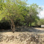 From Huatulco: Copalita Archaeological Zone Tour - What’s Included and What’s Not