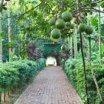 From Hue: 1 day COOKING CLASS IN THUY BIEU VILLAGE - What’s Included and What You Should Know