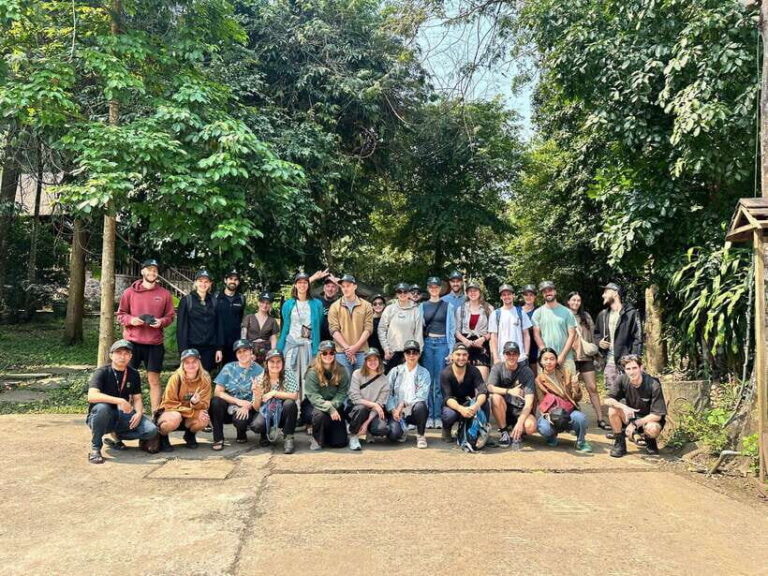 From Hue: Phong Nha Cave & Paradise Cave Full-Day Trip - Exploring Paradise Cave: The Underground Royal Palace