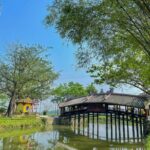 From Hue to Hoi An: Hai Van Pass 4 Stops Sighteeing by Bus - A Closer Look at the Itinerary