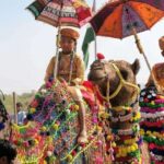 From Jaipur: One-Day Trip From Jaipur to Pushkar - Detailed Itinerary Breakdown
