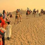 From Jodhpur: Half-Day Tour, Camel Ride, & Dinner in Osian - What Travelers Are Saying