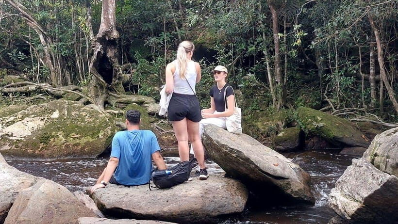 From Kampot: Bokor National Park Scenic Tour - What To Expect on This Scenic Journey