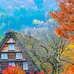 From Kanazawa/Takayama :Day Tour To Shirakawago & Takayama - Itinerary Breakdown: What You Can Expect