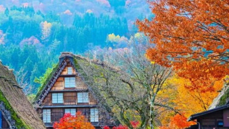 From Kanazawa/Takayama :Day Tour To Shirakawago & Takayama - Itinerary Breakdown: What You Can Expect