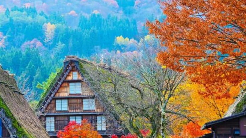 From Kanazawa/Takayama :Day Tour To Shirakawago & Takayama - Itinerary Breakdown: What You Can Expect