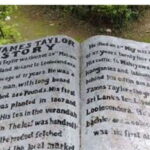 From Kandy: James Taylors Tea Tour (The Tale of Ceylon Tea) - FAQs