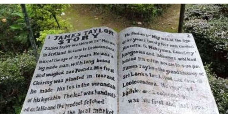 From Kandy: James Taylors Tea Tour (The Tale of Ceylon Tea) - FAQs