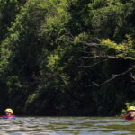 From Kandy: Kitulgala Whitewater Rafting Adventure Day Tour - The Value of This Tour