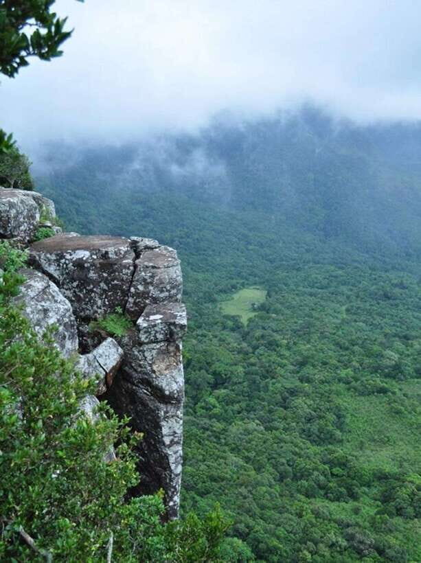 From Kandy: Knuckles Mountain Range Tuk Tuk Safari - What the Reviews Say