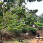 From kandy Train, and Pool Club Day Tour with Pickup - Ramboda Falls: Nature’s Power