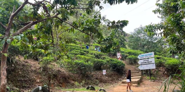 From kandy Train, and Pool Club Day Tour with Pickup - Ramboda Falls: Nature’s Power