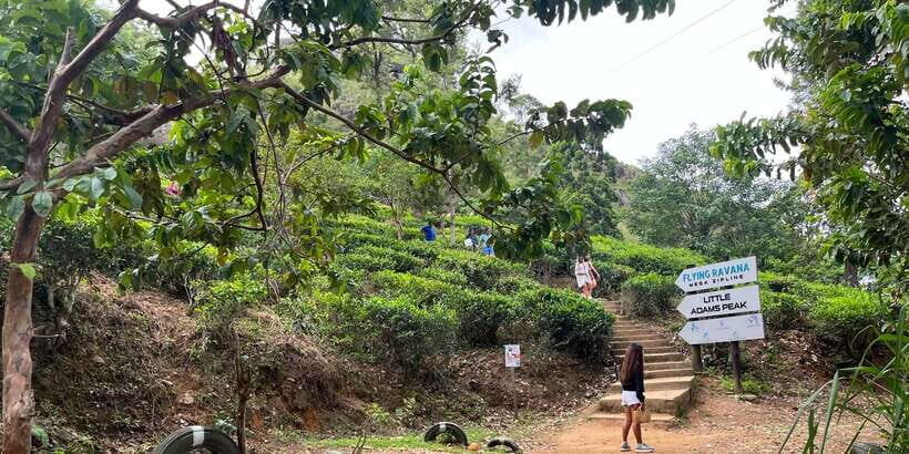 From kandy Train, and Pool Club Day Tour with Pickup - Ramboda Falls: Nature’s Power